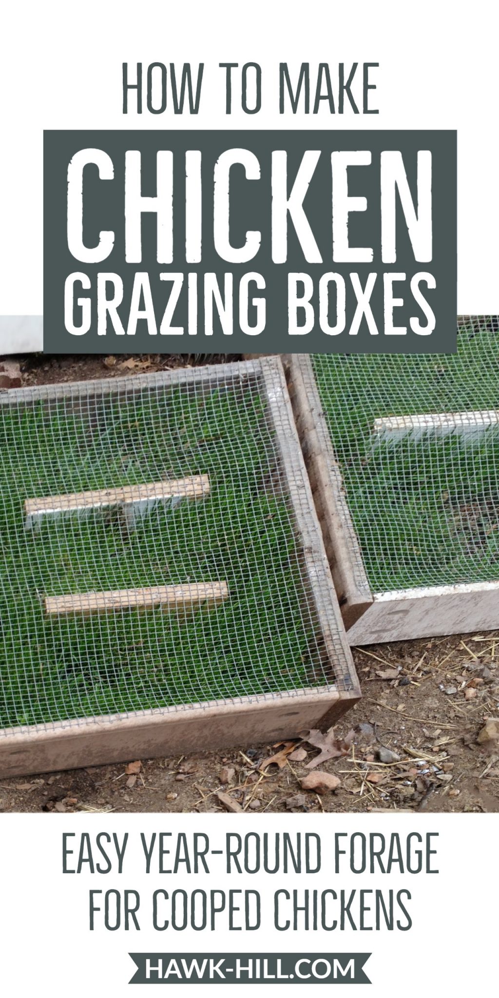 Chicken Grazing Boxes: Download Free PDF Plans | Hawk Hill