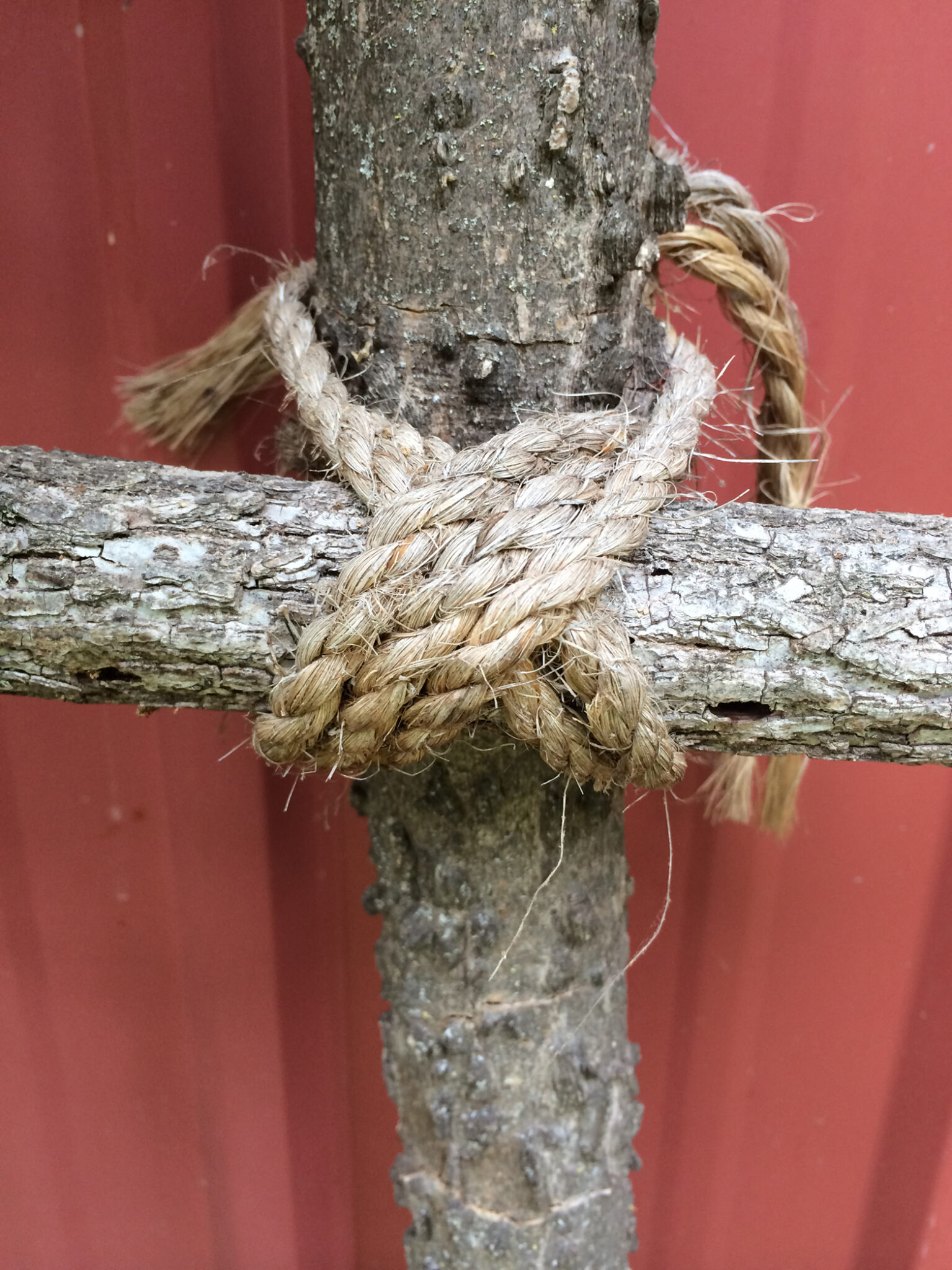 DIY Rose Trellis: How I made a Rustic Oversized Garden Trellis for $5 ...