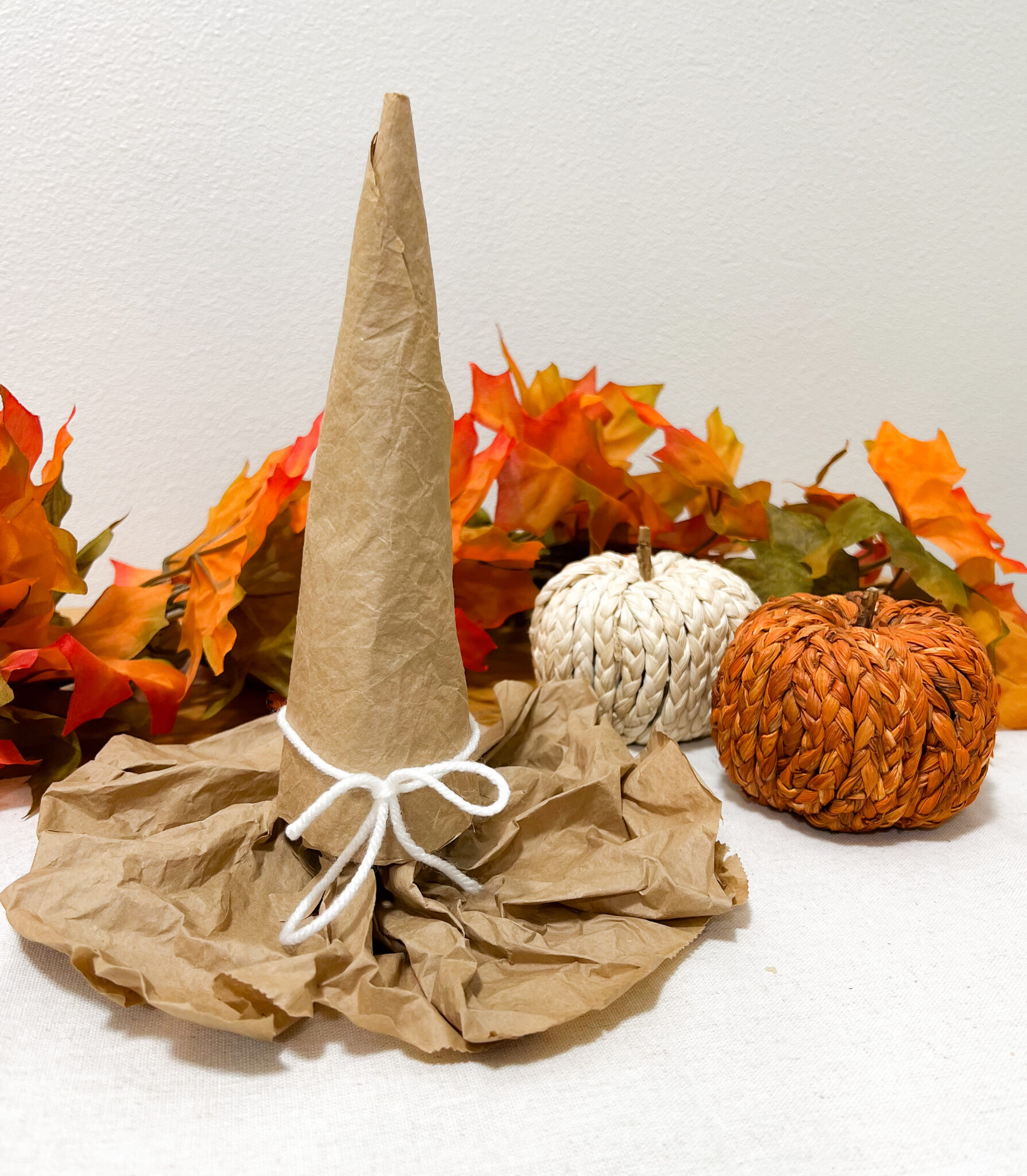 Make A Simple Brown Paper Bag Hat For Autumn | Hawk Hill