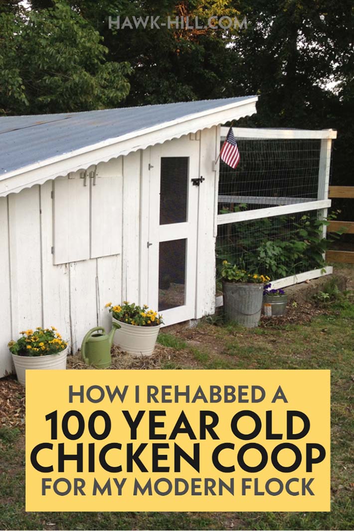 Our Old Chicken Coop: Keeping Modern Chickens in a Vintage Coop | Hawk Hill